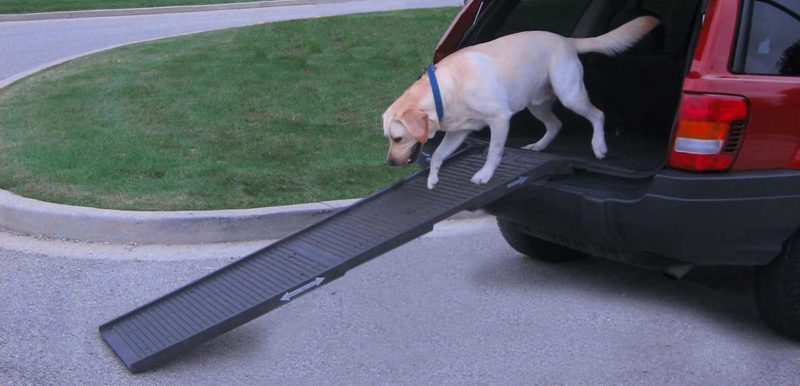 What is the Best Width for a Dog Ramp? - PetStep Dog Ramps
