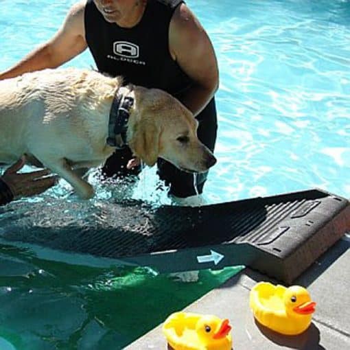PetStep® Pool Leg Accessory Kit - PetStep Dog Ramps