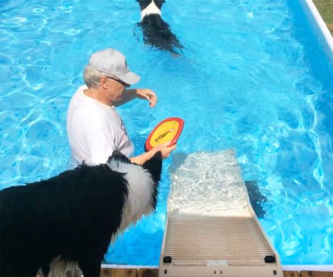 PetStep Pool Ramp for Dogs | Easy, Safe Pool Access