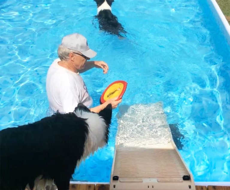 PetStep Pool Ramp for Dogs | Easy, Safe Pool Access