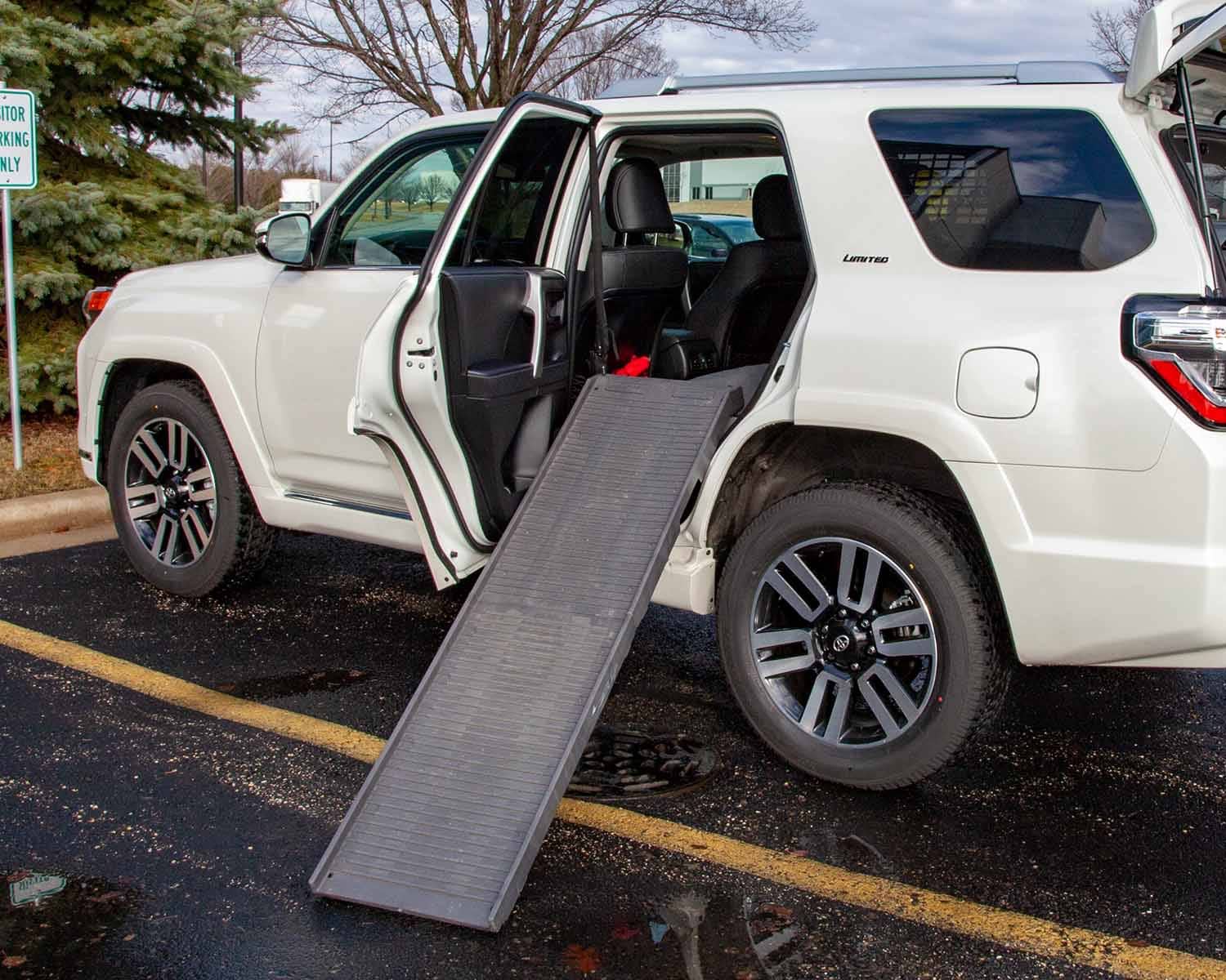 Why the PetStep Pool Ramp Is a Summer Must-Have and a Year-Round ...