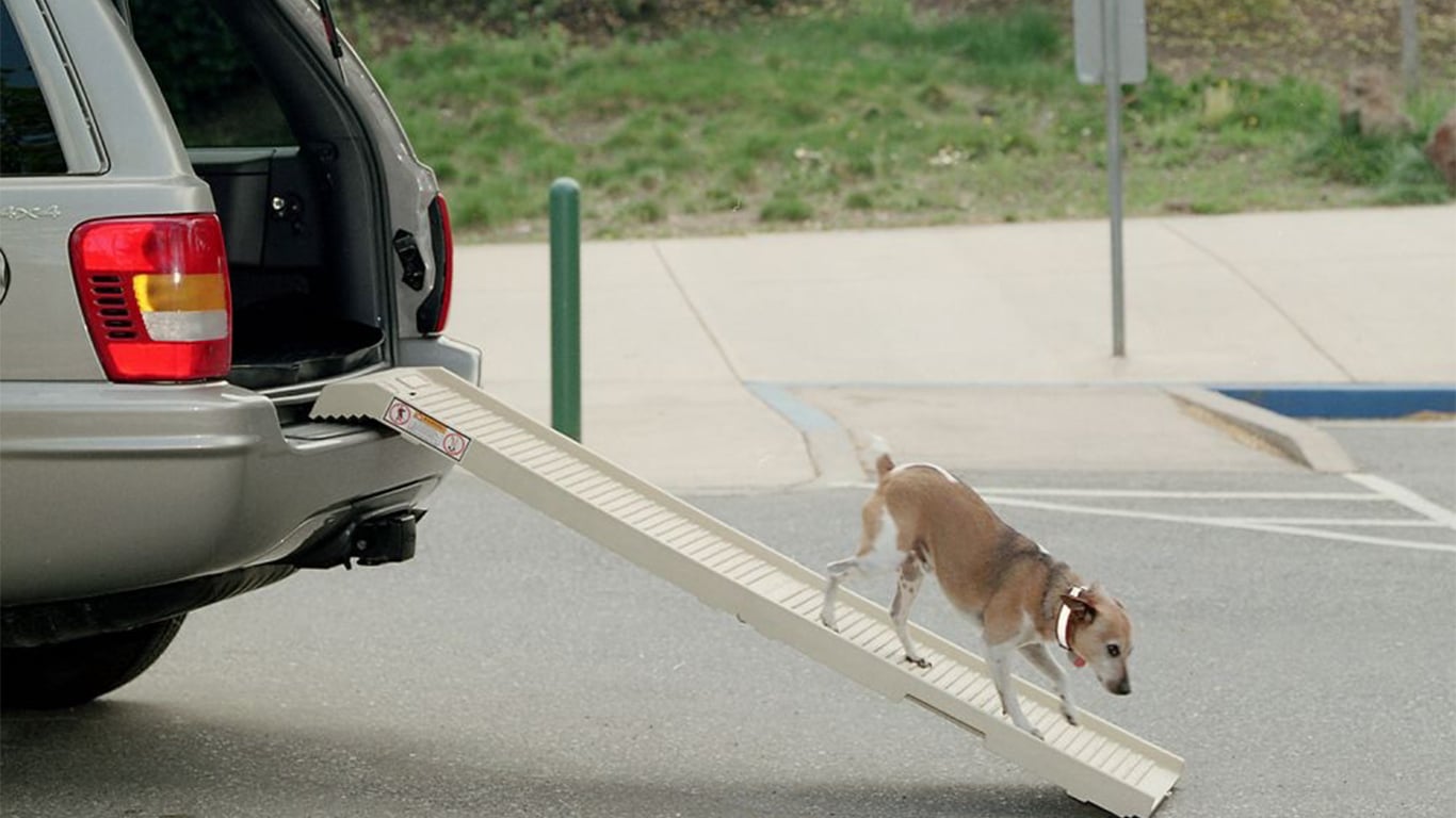 Why the PetStep Pool Ramp Is a Summer Must-Have and a Year-Round ...