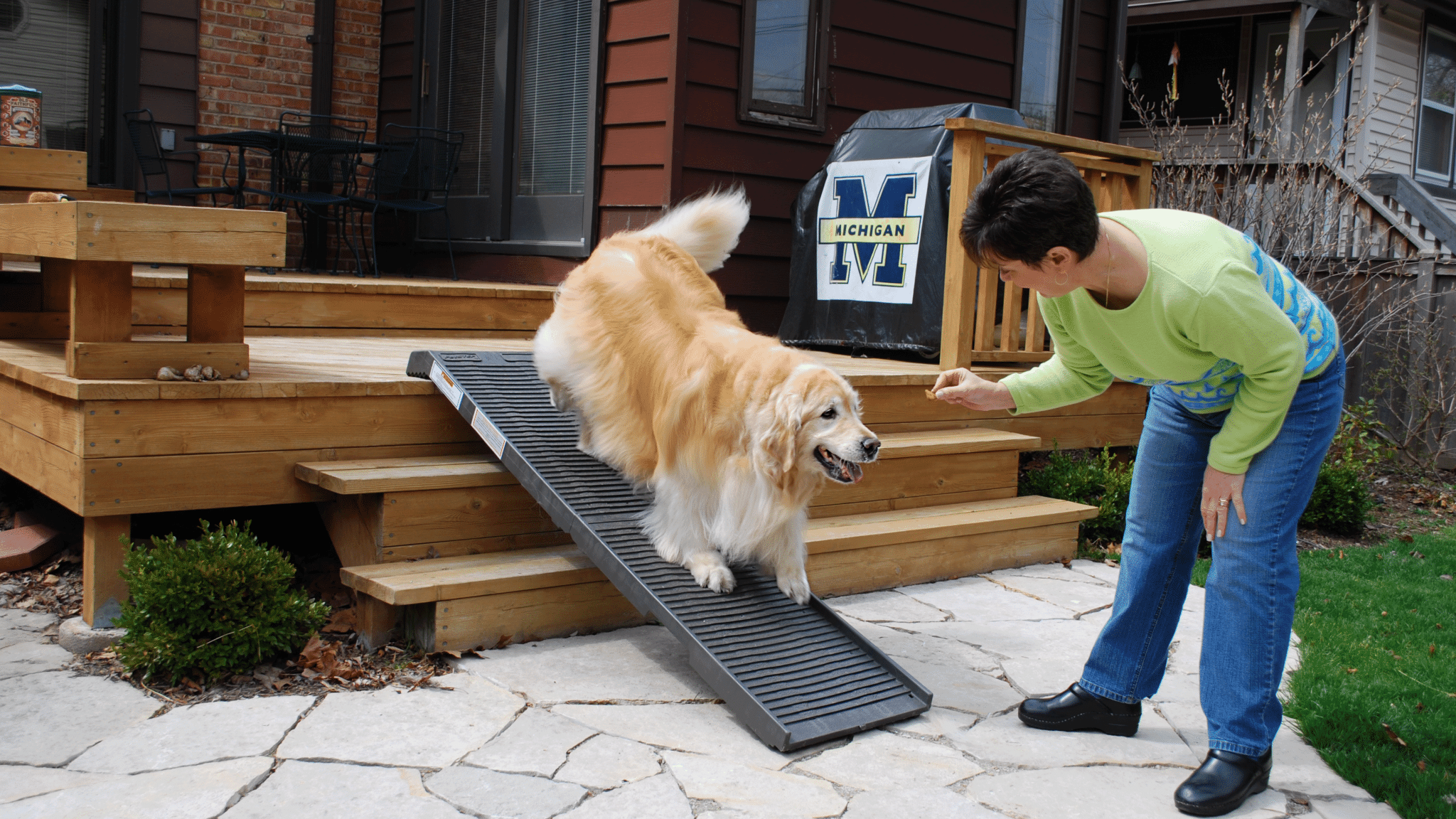 Best Dog Ramp for Stairs Outside: Safe and Easy Access for Your Pup - PetStep Dog Ramps